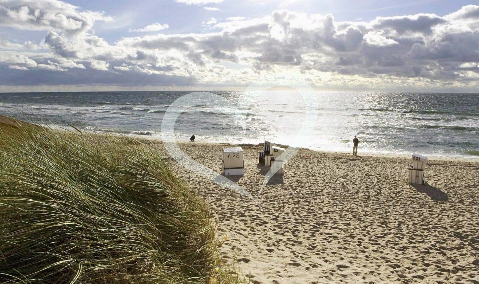 TUI BLUE Sylt güntig online buchen